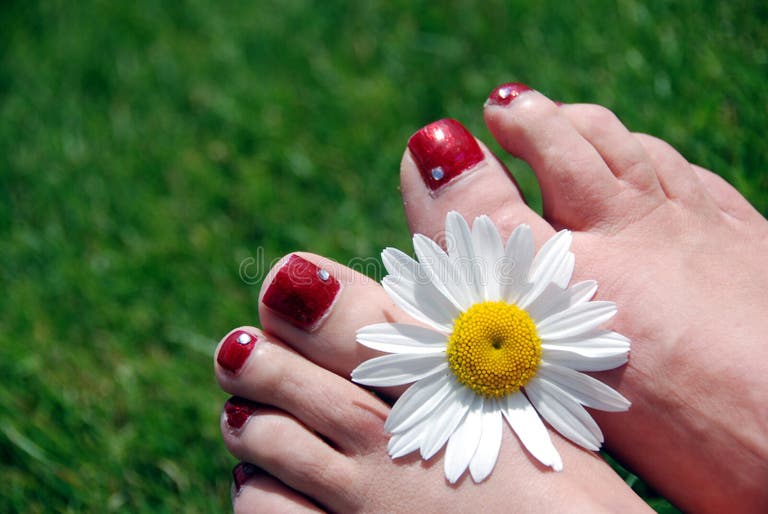Flower and feet stock photo. Image of bare, natural, polished - 2728018