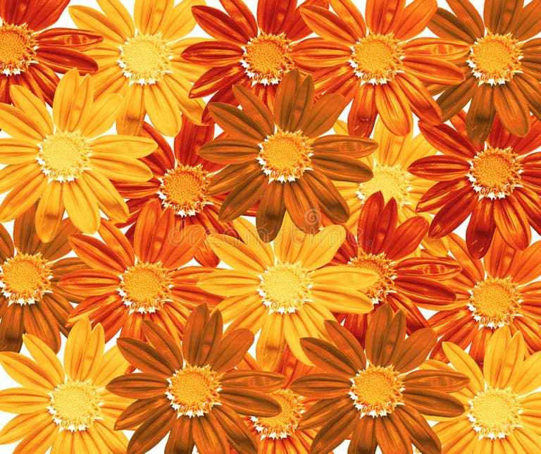 Flower Macro Dew Stock Illustrations – 60,220 Flower Macro Dew Stock ...