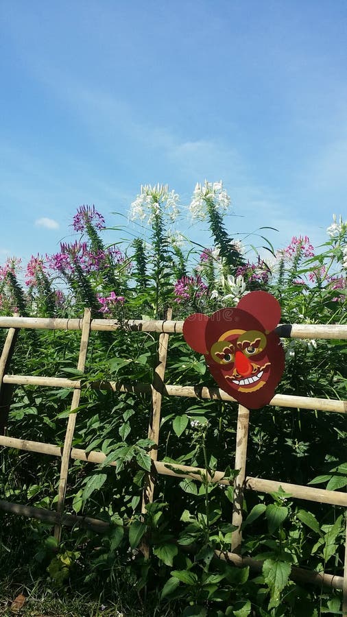 Flower field and mask stock photo. Image of field, mask - 107899042