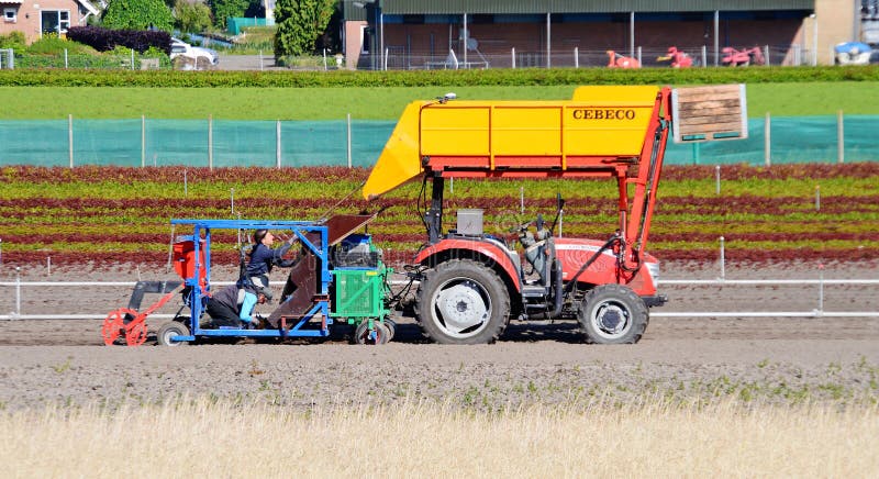 Bulb Planters Behind a Driverless Tractor Editorial Stock Image - Image ...
