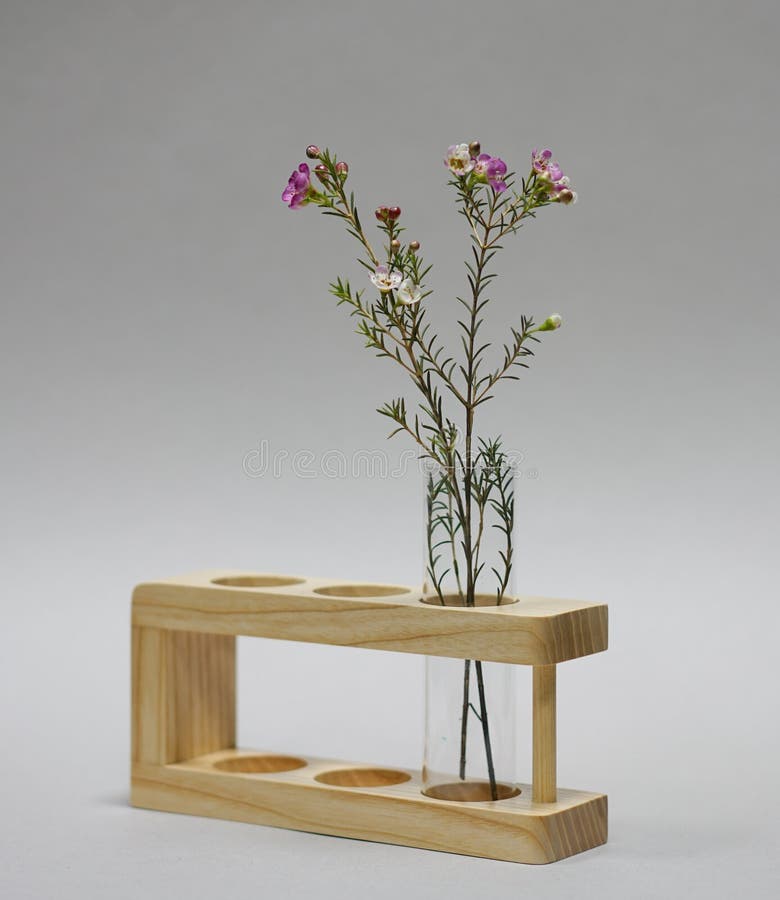 Flower in a Flask in a Stand on a White Background Stock Photo - Image ...