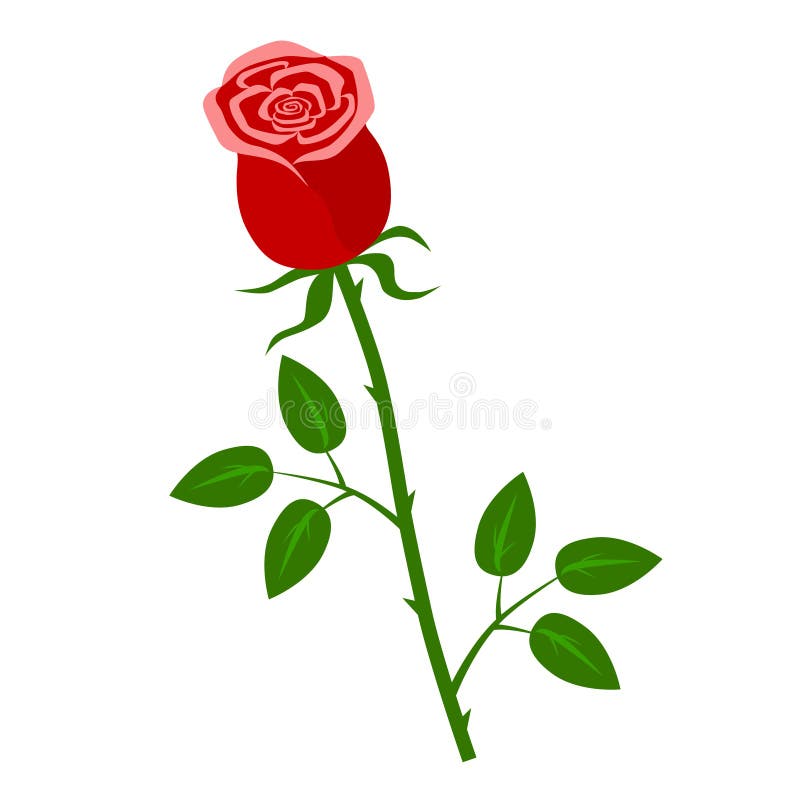 Cute rose flower stock vector. Illustration of garden - 89822980