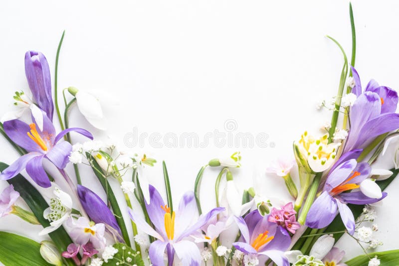 Flat Lay from Spring Flowers on a Light Blue Background. View from ...
