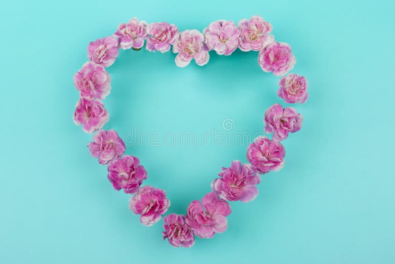 Flower flat lay stock image. Image of gift, fresh, fashionable - 136141791