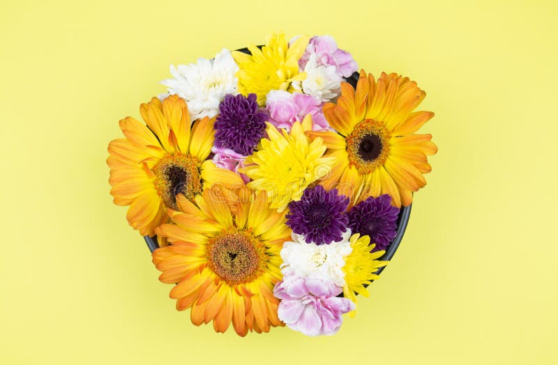 Flower flat lay stock image. Image of flat, floral, fashionable - 121937955