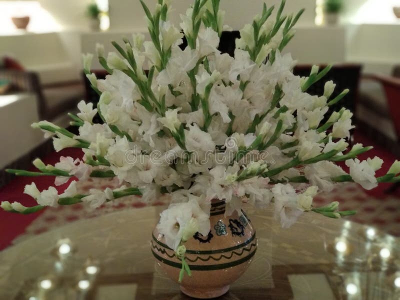 Flower stock photo. Image of vaas, fragrance, fresh - 112369066