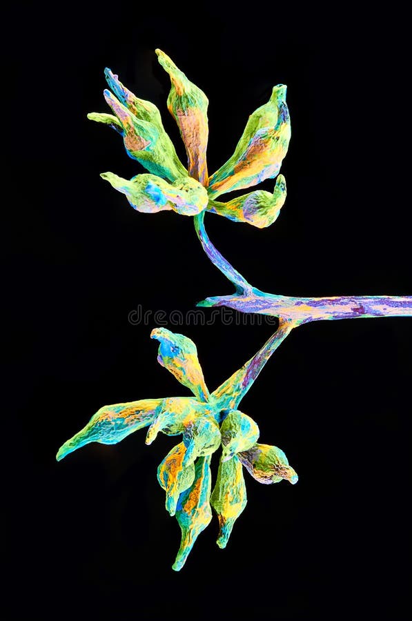 Flower with Fluorescent Colour. Stock Photo - Image of single, creative ...