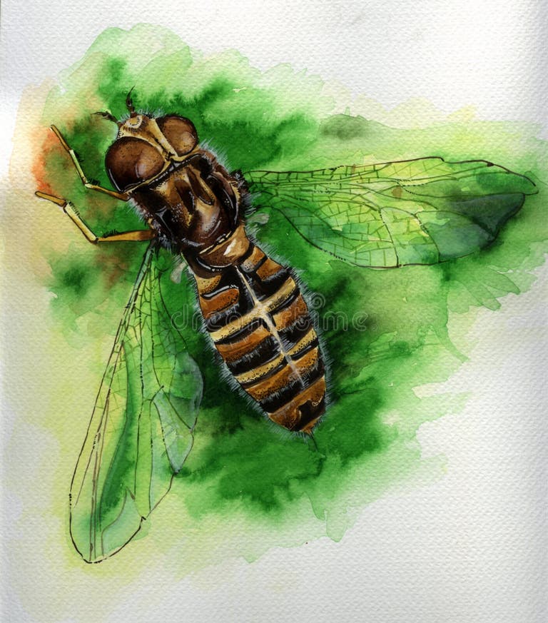 Fly Crocsu Flower Stock Illustrations – 127,202 Fly Crocsu Flower Stock ...