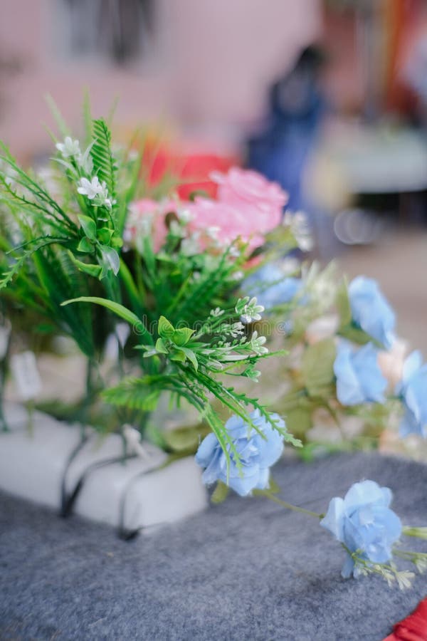 Flower with Focal Point in Green Leaf Stock Photo - Image of floral ...