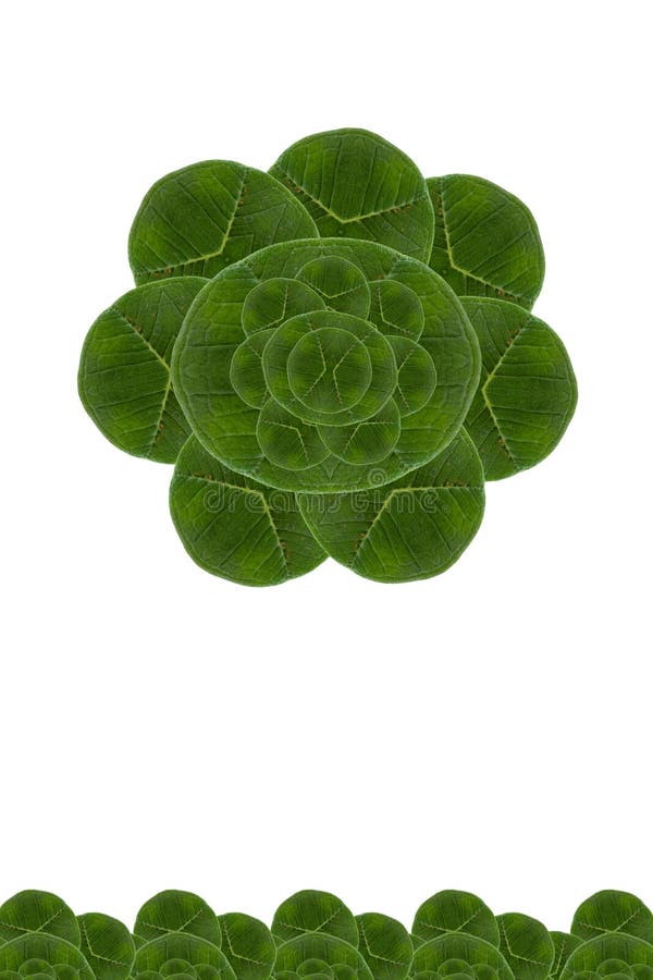 Flower form leaf stock image. Image of fading, abstract - 40586551