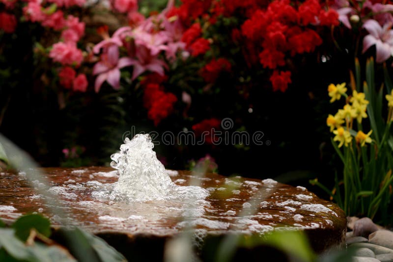 Flower Fountain stock image. Image of clear, glow, beautiful - 786747