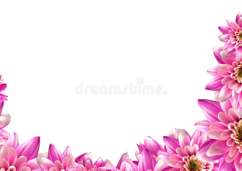 Flower frame stock photo. Image of nature, flower, natural - 13168146