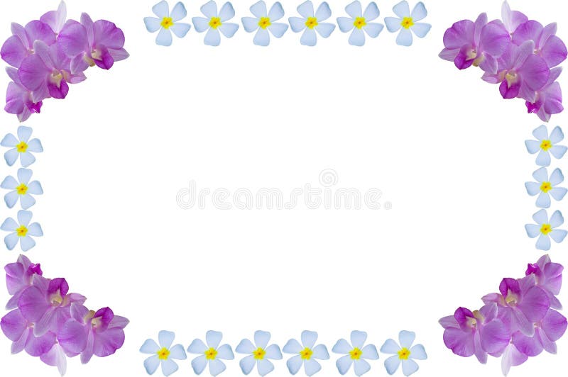 Flower frame stock illustration. Illustration of isolated - 17081992