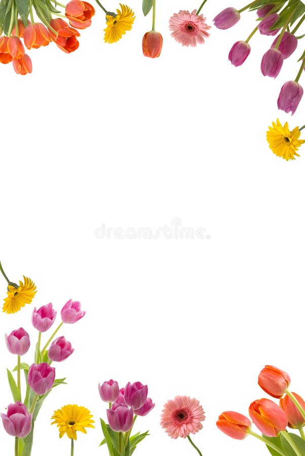 Decorative floral frame stock image. Image of artistic - 2524237