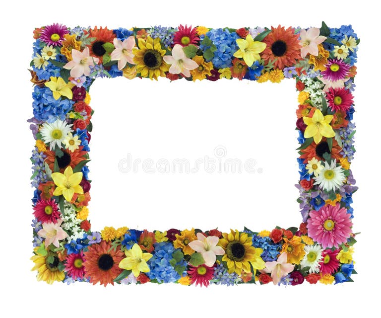 Flower frame stock photo. Image of gerbera, design, bluebell - 7740542