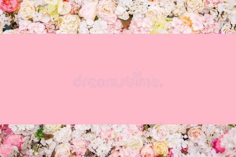Flower Frame, Banner. Postcard with Pink Flowers Background Stock Photo ...
