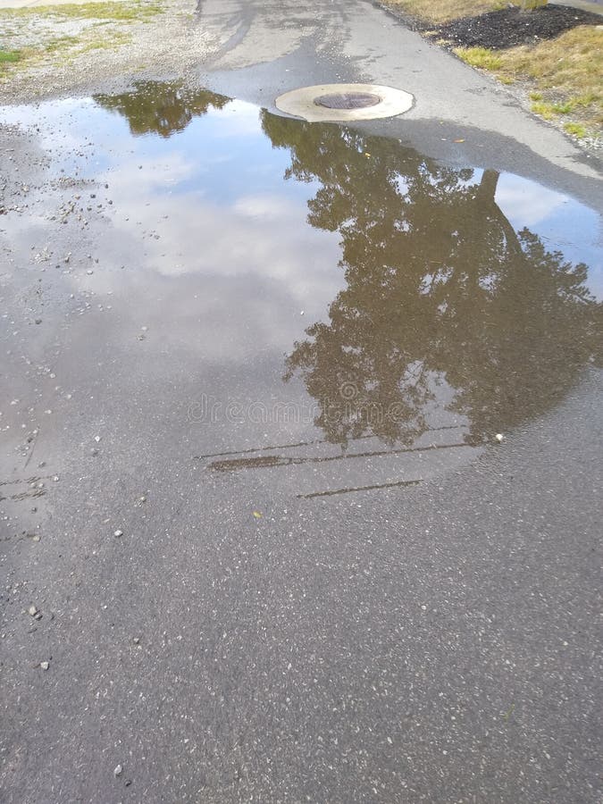 Reflection in the Mud Puddle Stock Photo - Image of view, puddle: 166007062