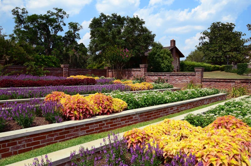 Flower Garden stock photo. Image of flower, plantation - 20140436