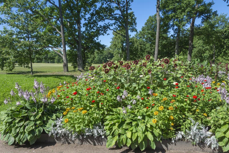 Flower Garden of a Complex Pattern Stock Image - Image of decorative ...