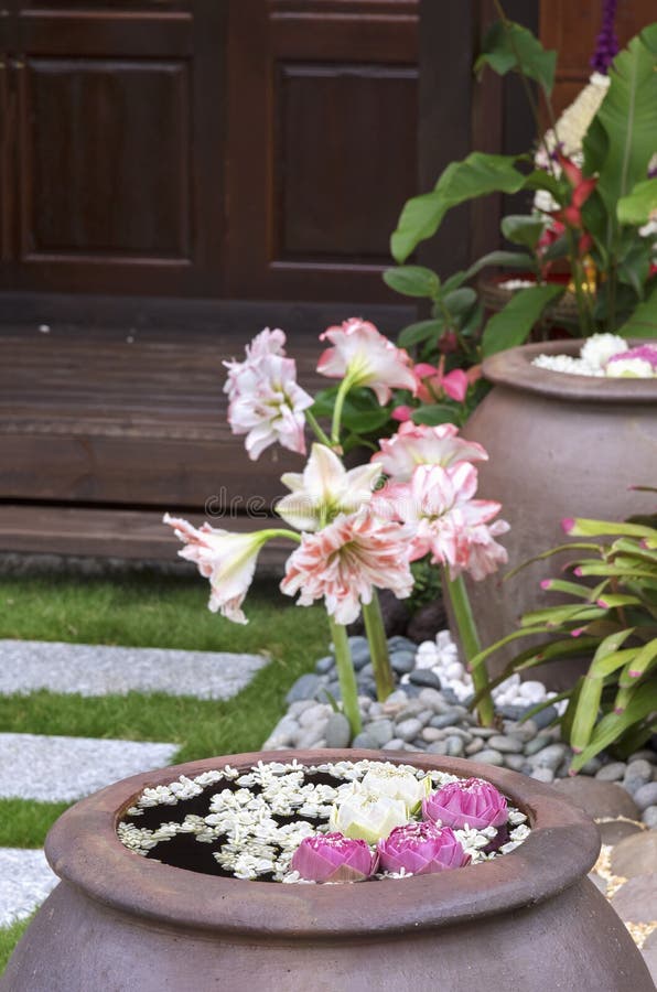 Flower garden stock photo. Image of green, float, blossom - 84229802