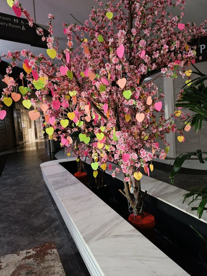 Flower Garden Potrait Landscape Beautiful Stock Photo - Image of ...