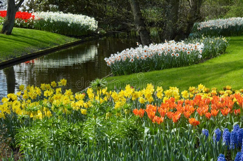 Flower garden in spring stock image. Image of natural - 2197171