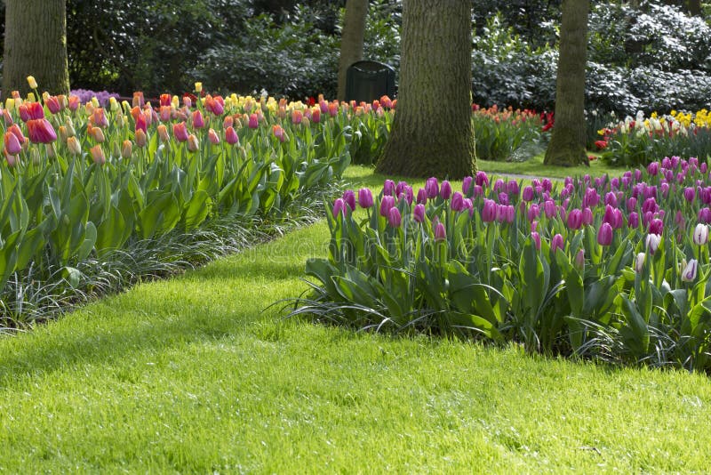 Flower Garden in Spring, England. Stock Photo - Image of landscape ...