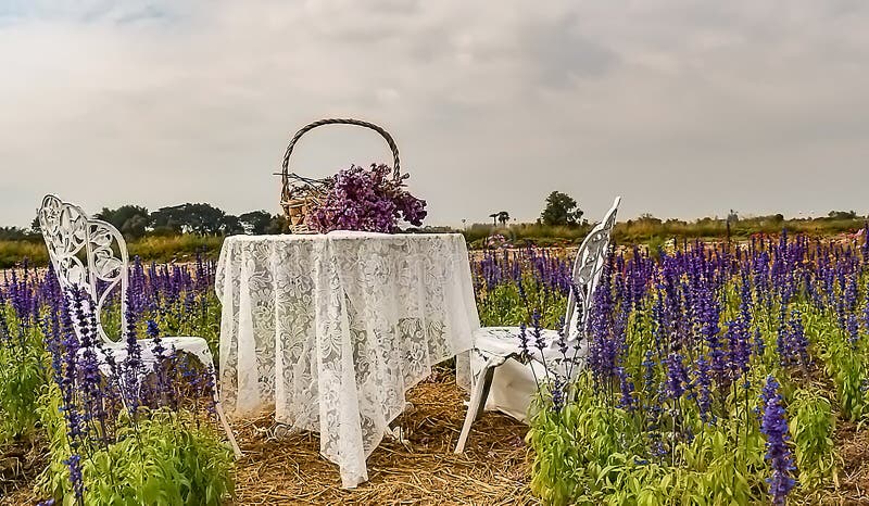 Flower Garden Table and Chairs Stock Image - Image of herb, chair ...