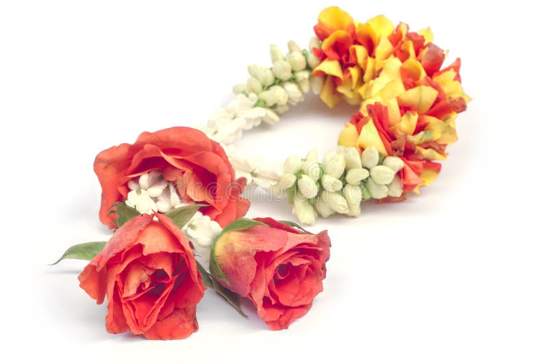 Flower garland isolated. stock photo. Image of nature - 41515428