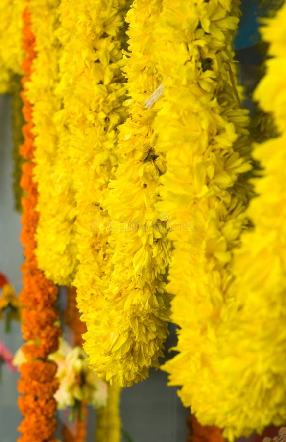 Flower garlands stock image. Image of marigold, party - 7672959