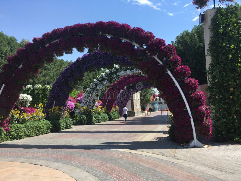 Flower gate editorial photography. Image of flower, artistic - 155152392