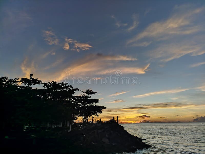 Flower in golden siluet stock image. Image of hour, flower - 380636337