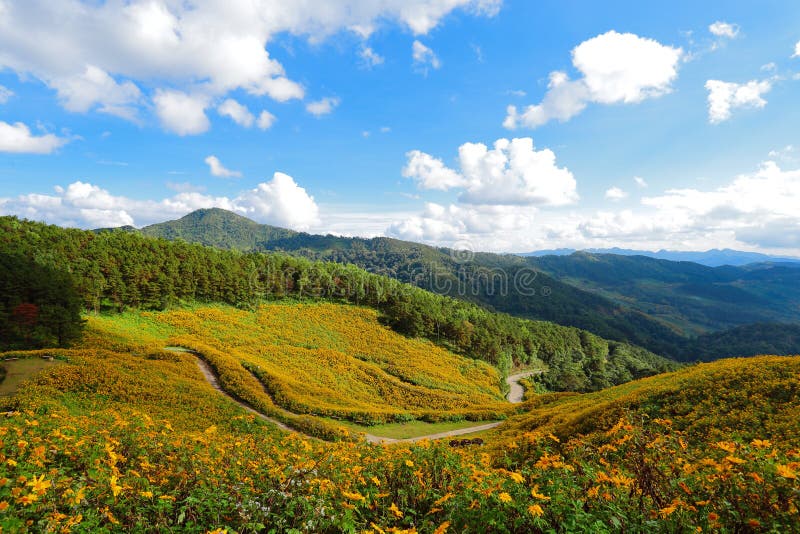 122 Graden Road Stock Photos - Free & Royalty-Free Stock Photos from ...