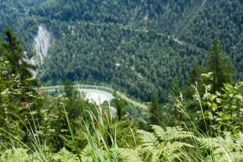 Flower and Grass in Front of Valley Stock Photo - Image of blue, river ...
