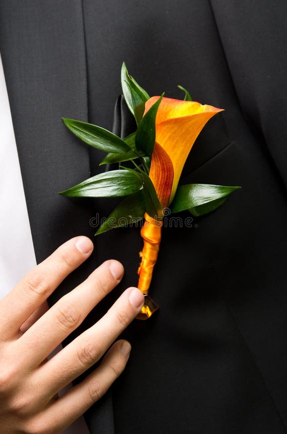 Flower on groom stock image. Image of wedding, lapel - 25280119