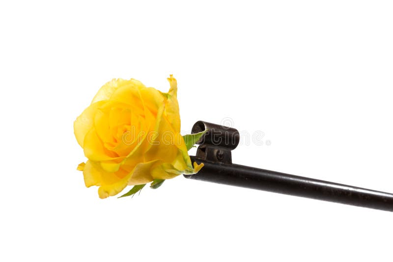Flower gun stock photo. Image of muzzle, peace, arming - 35453820