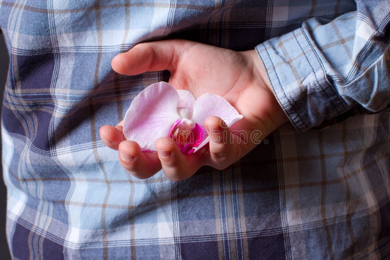 Flower in hand stock photo. Image of phalaenopsis, nature - 28300386