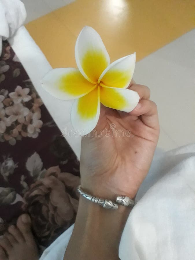 Flower in Hand , Beautiful Pictures, Beautiful Flower in Hand , Flower ...