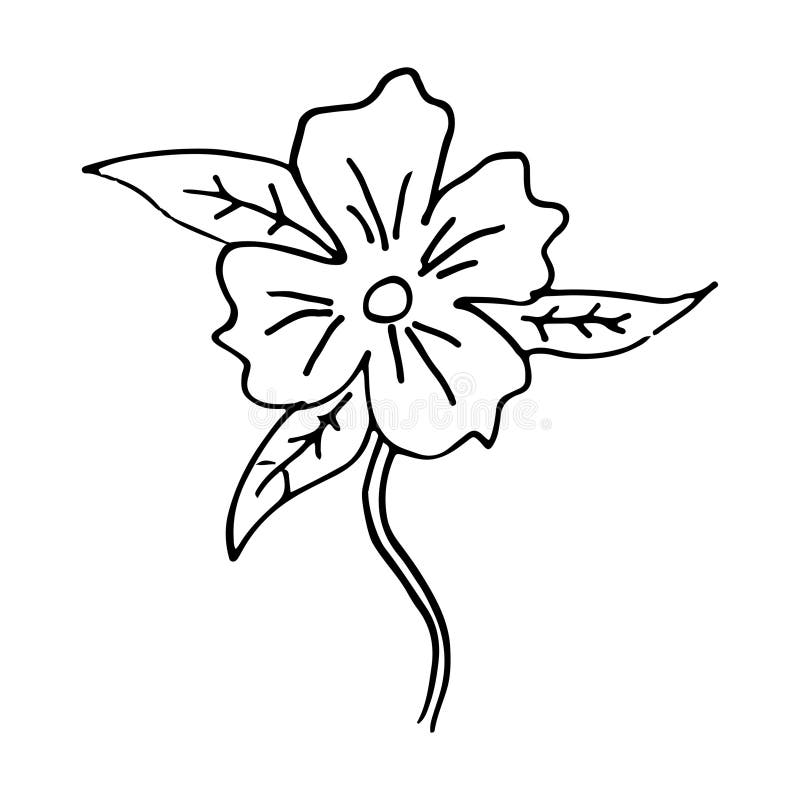 Flower Hand Drawn Vector Design Template Basic RGB Stock Vector ...