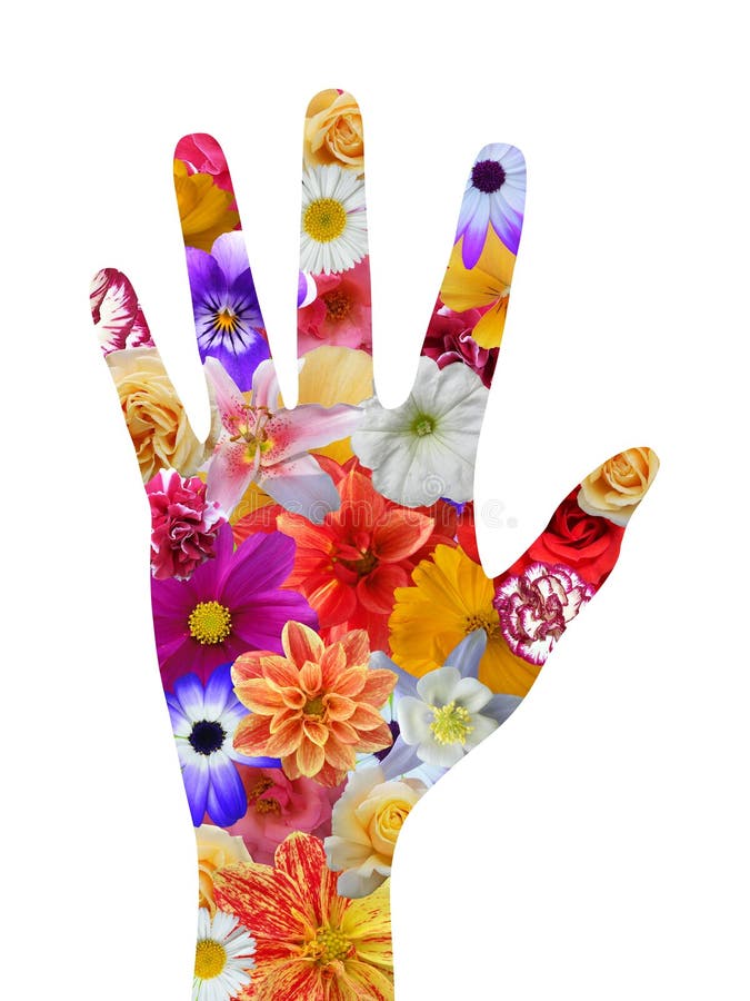 Flower hand stock illustration. Illustration of fresh - 53236429