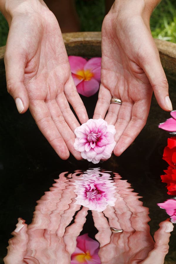 Flower Hand Reflection stock photo. Image of peace, nature - 2997480