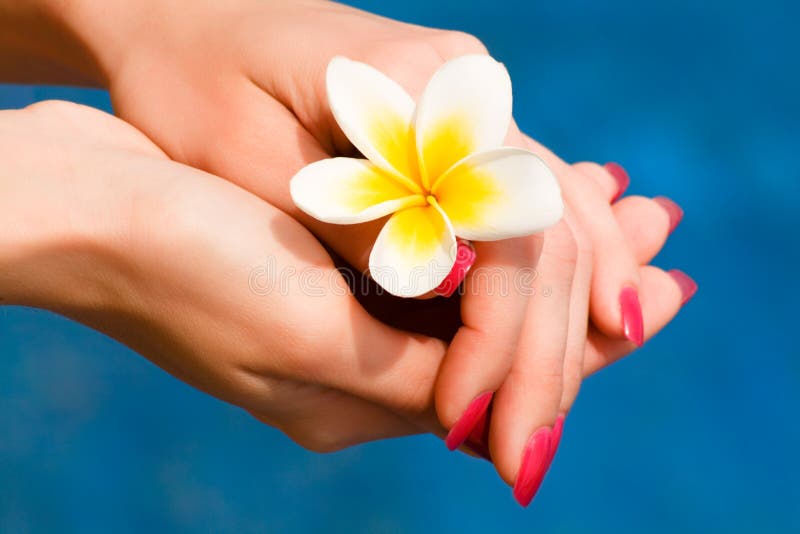 Hands and Flower stock photo. Image of magnolia, massage - 265324