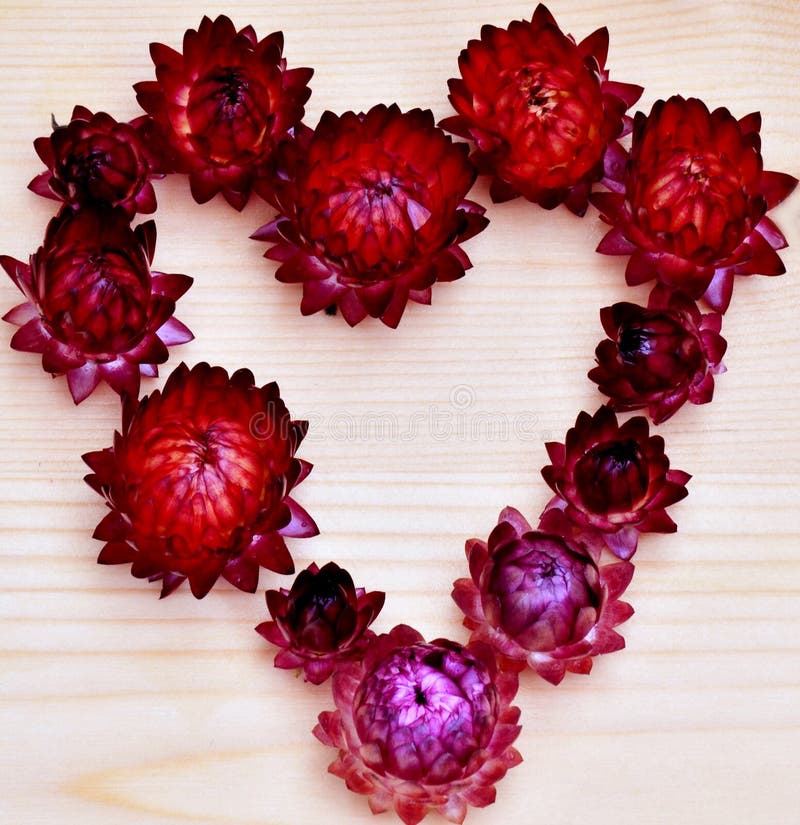 Flower hart stock image. Image of romantic, hart, bright - 65362985