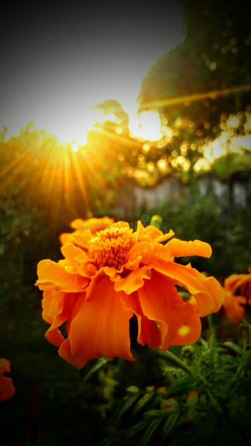 Dreamstime Latest Hd Wallpaper Stock Photos - Free & Royalty-Free Stock ...