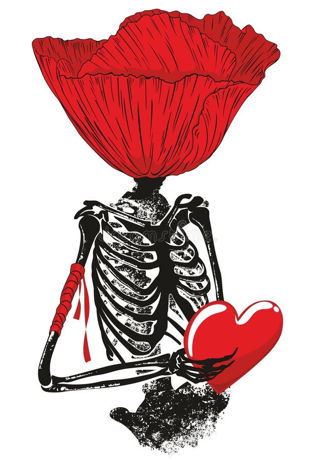 Skeleton Red Poppy Stock Illustrations – 7 Skeleton Red Poppy Stock ...