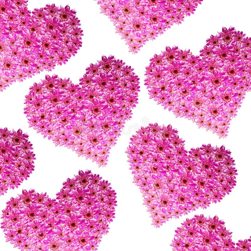 Flower heart stock image. Image of valtentine, pink, love - 12615347