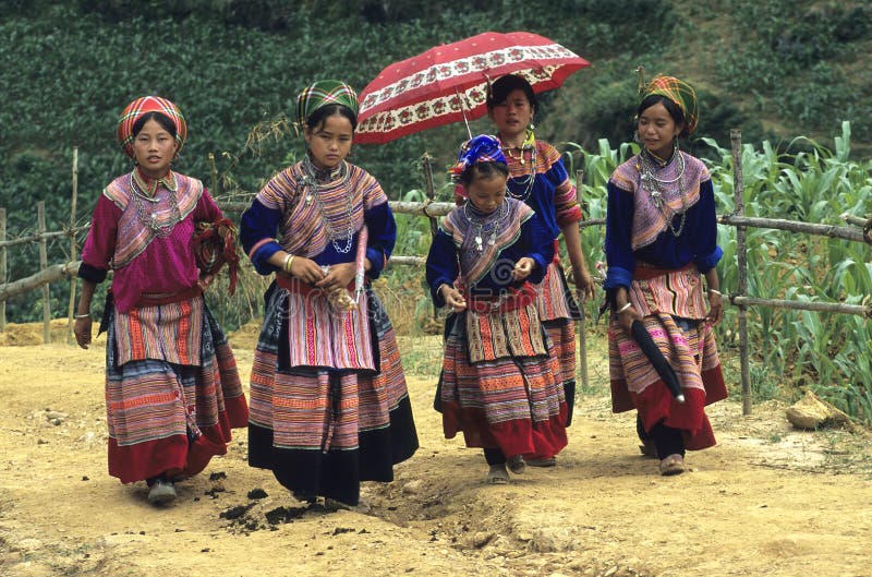 Flower Hmong Girls 1 editorial photography. Image of girls - 11189662