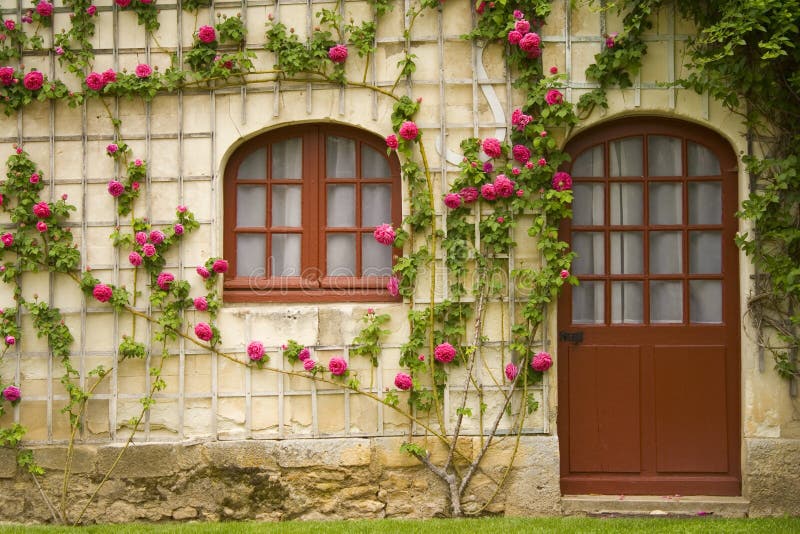 Flower House stock photo. Image of building, living, green - 2488074