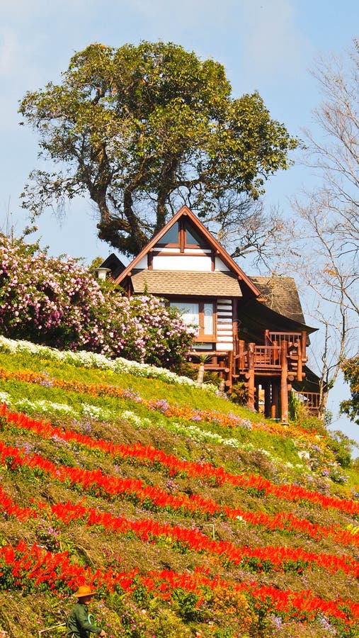 Flower house stock image. Image of pink, metal, global - 30705459