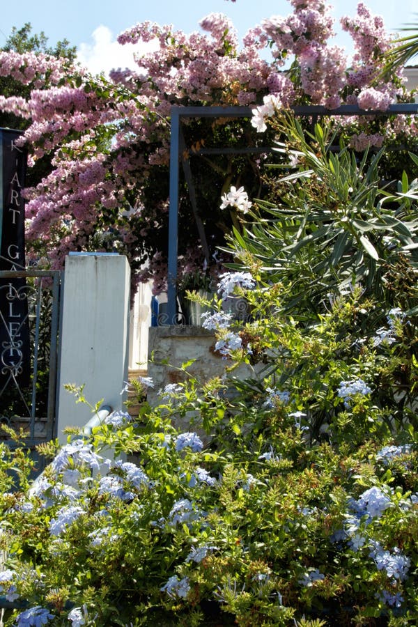 Flower house stock image. Image of lawn, landmark, bouquet - 48730279